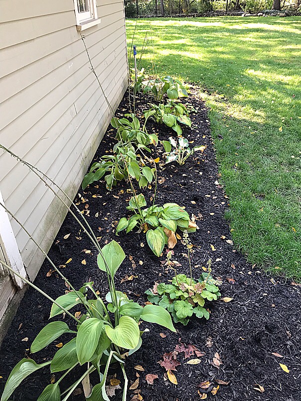 epic backyard landscaping project: FINISHED! – thehealthypineapple