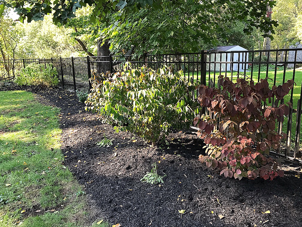 epic backyard landscaping project: FINISHED! – thehealthypineapple