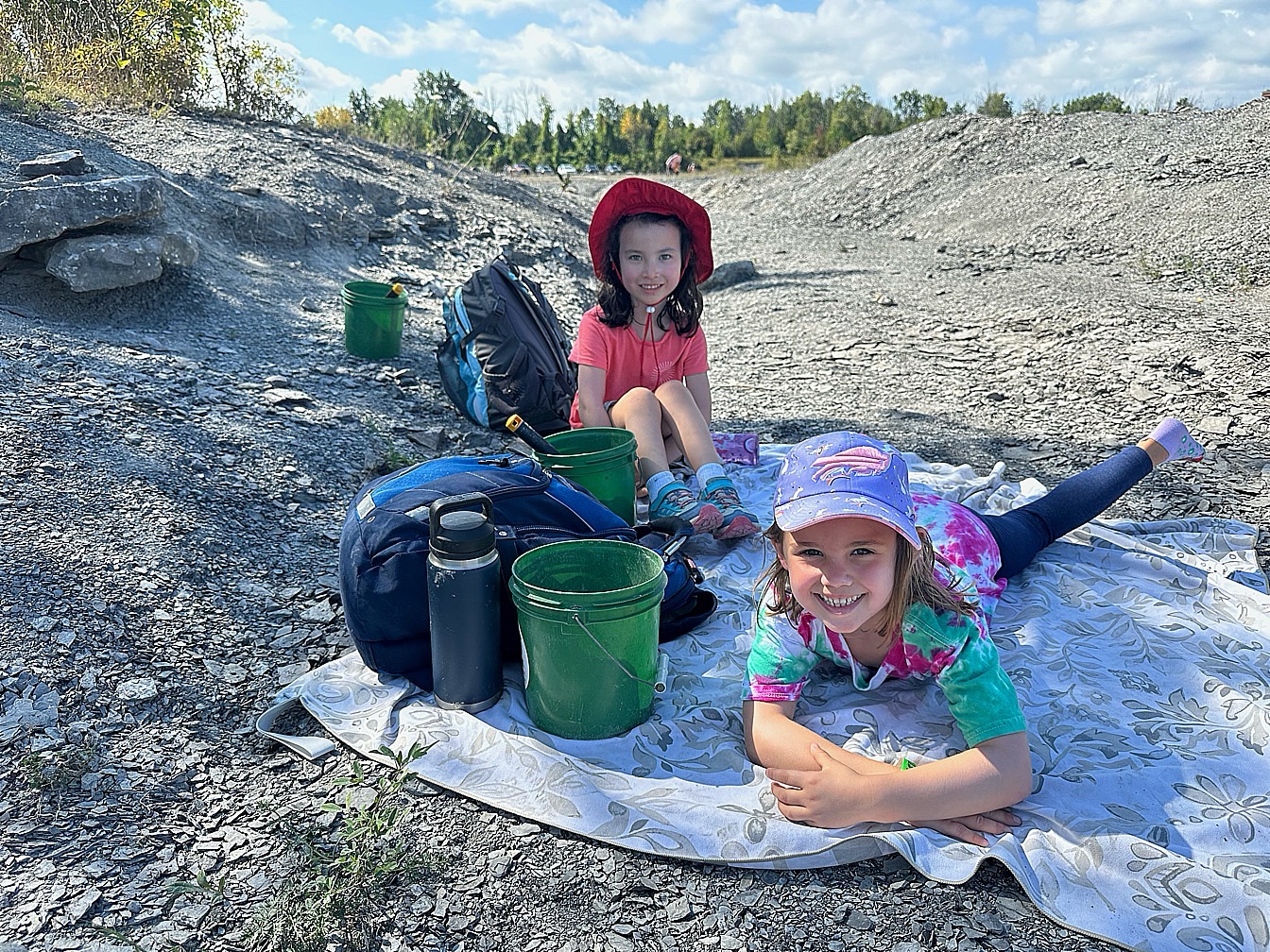 digging for dinosaur bones – thehealthypineapple